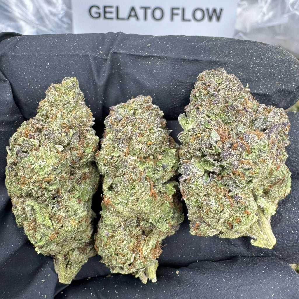 Gelato_Flow_3_1024x1024.webp?v=1750708176